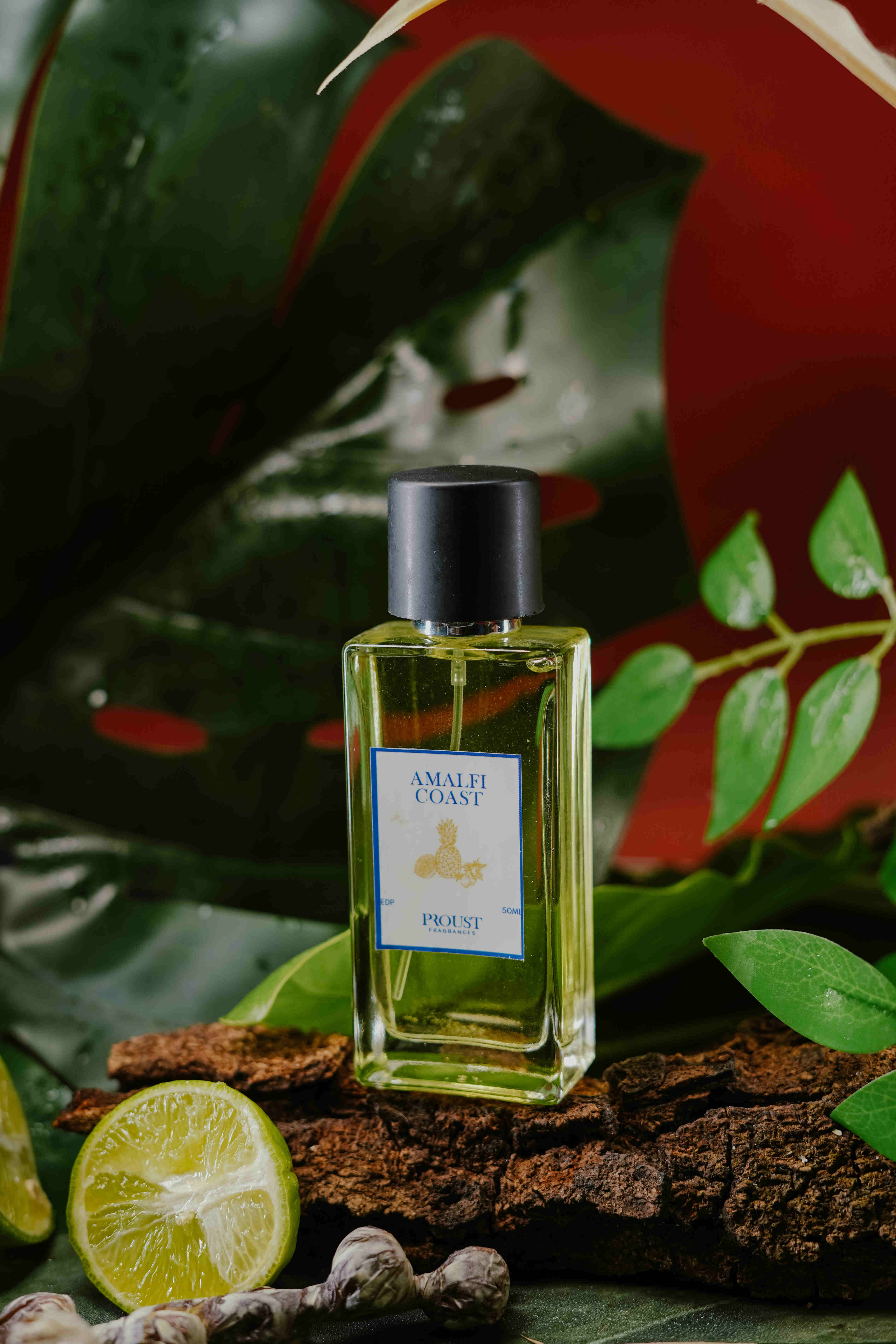 Affordable Luxury Perfumes and Oud Scents in India | Proust Fragrances
